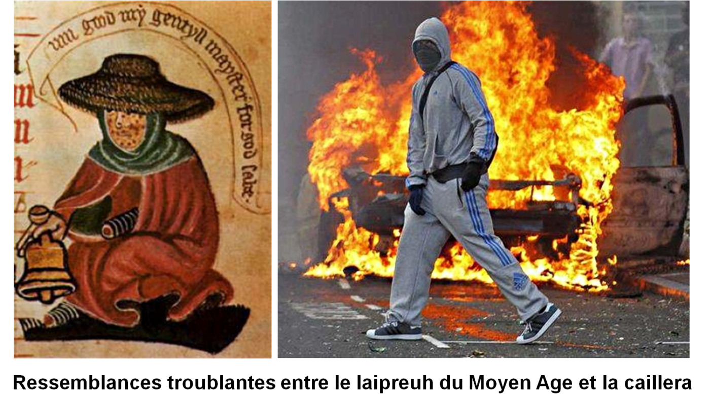 Caillera (Australopithecus hlmus) — Désencyclopédie