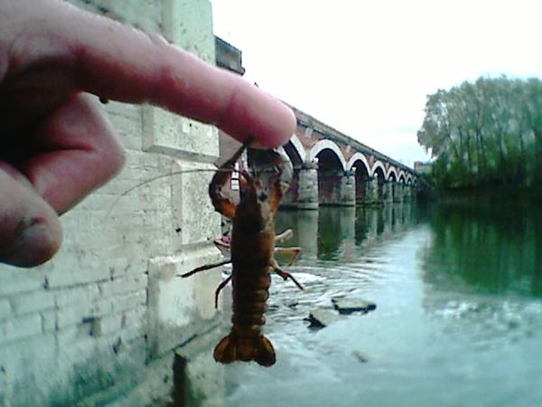 Scaphandrier — Désencyclopédie