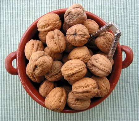 Forum:Des singes/Fan-Club de Marie-Irène — Désencyclopédie