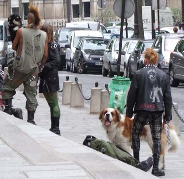 Punk à chien — Désencyclopédie