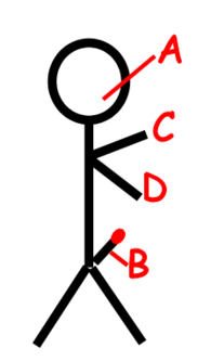 Auto-fellation — Désencyclopédie
