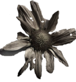 שיחת משתמש:תותיסמרטותי – איןציקלופדיה