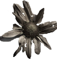 שיחת משתמש:89.138.249.78 – איןציקלופדיה