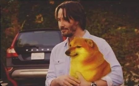 Cheems - Inciclopedia, la enciclopedia libre de contenido