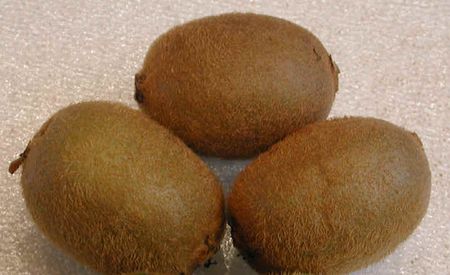 Kiwi - Inciclopedia, la enciclopedia libre de contenido