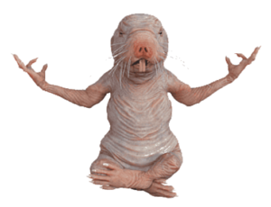 Tyrannosaurus Rex - Inciclopedia, la enciclopedia libre de contenido