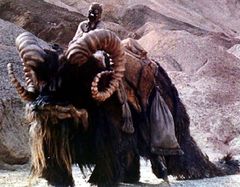 Kategorie:Star Wars – Necyklopedie