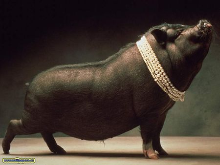 Jiří Paroubek – Necyklopedie