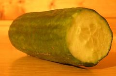 Okurka – Necyklopedie