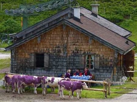 Milka sloní – Necyklopedie