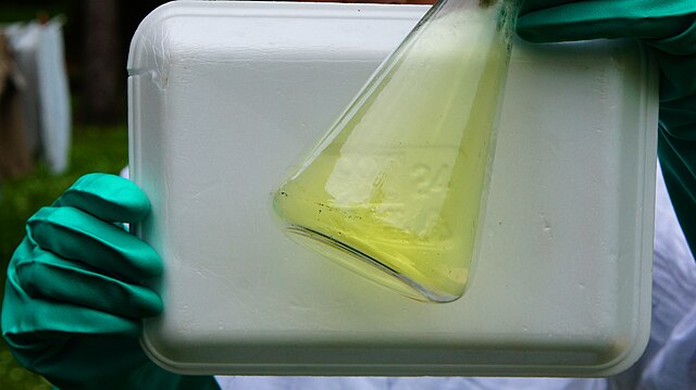 Chlór – Necyklopedie