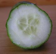 Okurka – Necyklopedie