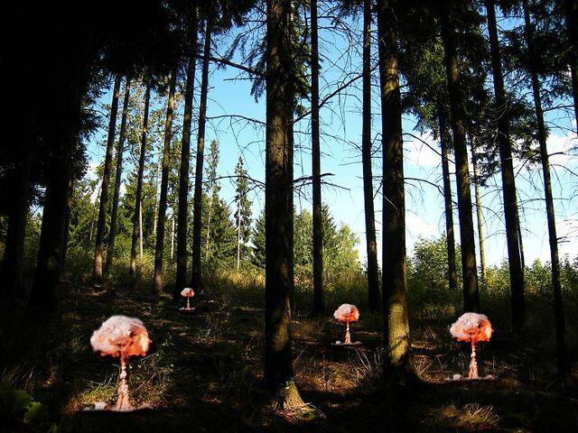 Atompilz – Uncyclopedia