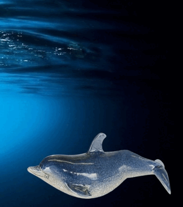 Downsized Dolphin of Disaster - Uncyclopedia, the content-free encyclopedia