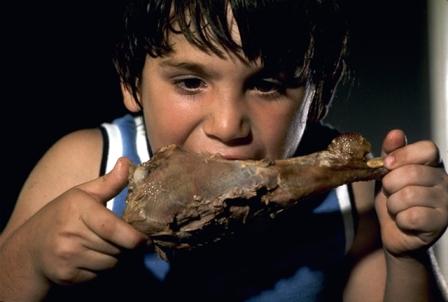 UnNews:Survey shows children don’t know where meat comes from. We show ...