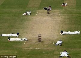 Cricket - Uncyclopedia, the content-free encyclopedia