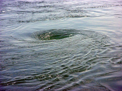 Whirlpool - Uncyclopedia, the content-free encyclopedia