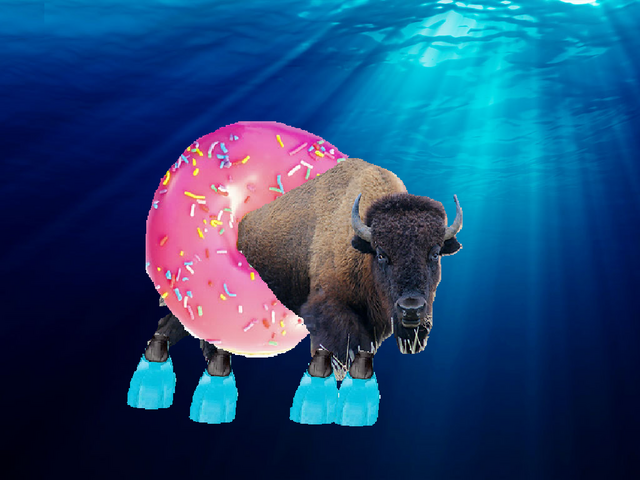 Water Buffalo - Uncyclopedia, the content-free encyclopedia