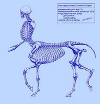 UnNews:Scientists "discover" new fossils - Uncyclopedia, the content ...