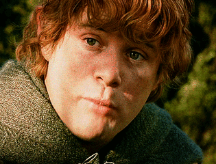 Samwise Gamgee - Uncyclopedia, the content-free encyclopedia