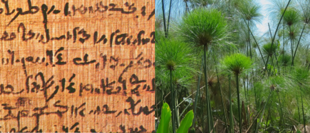 Papyrus - Uncyclopedia, the content-free encyclopedia