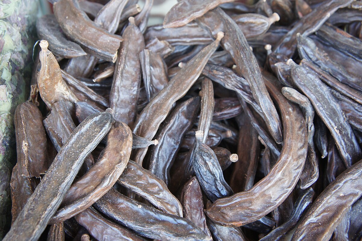 Carob - Uncyclopedia, the content-free encyclopedia