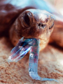 Uncyclopedia:Anniversaries/December 17 - Uncyclopedia, the content-free ...