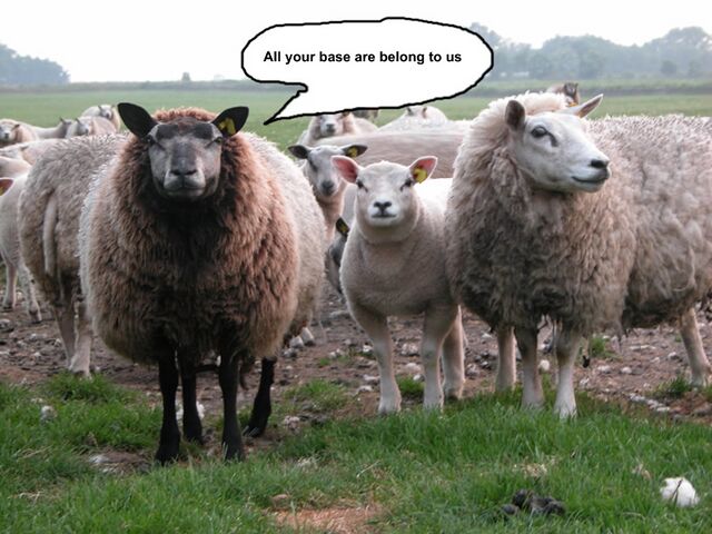 Conspiranoid - Uncyclopedia, the content-free encyclopedia