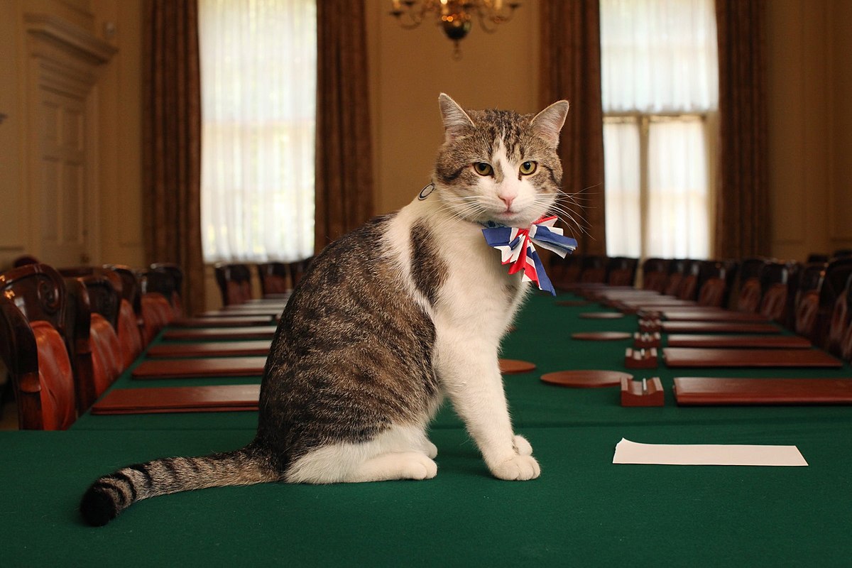 Larry (cat) - Uncyclopedia, the content-free encyclopedia