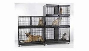 Humans - Uncyclopedia, the content-free encyclopedia