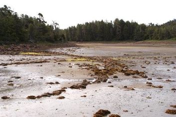 Mud - Uncyclopedia, the content-free encyclopedia