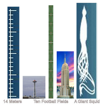Space Needle - Uncyclopedia, the content-free encyclopedia