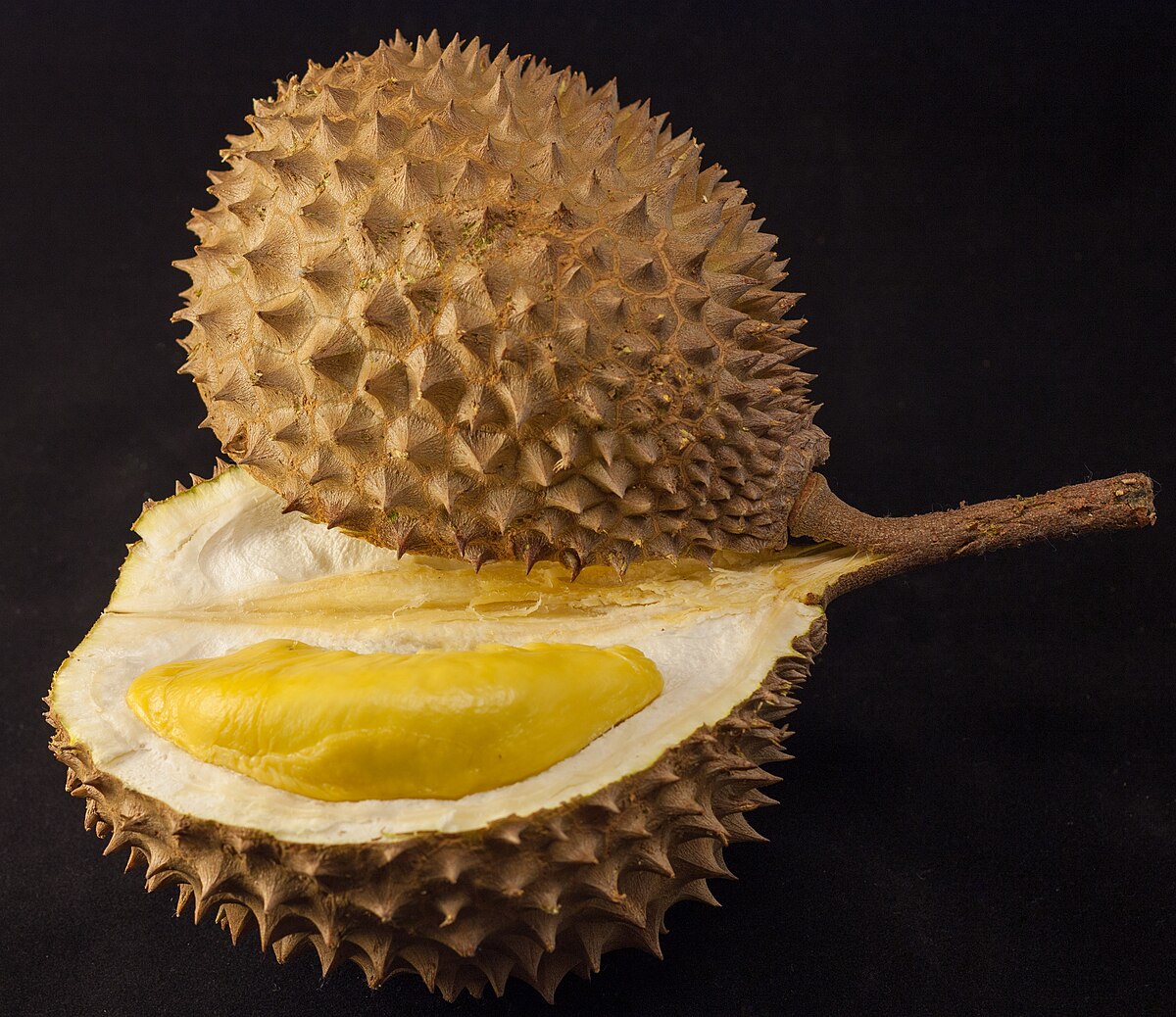 Durian - Uncyclopedia, the content-free encyclopedia