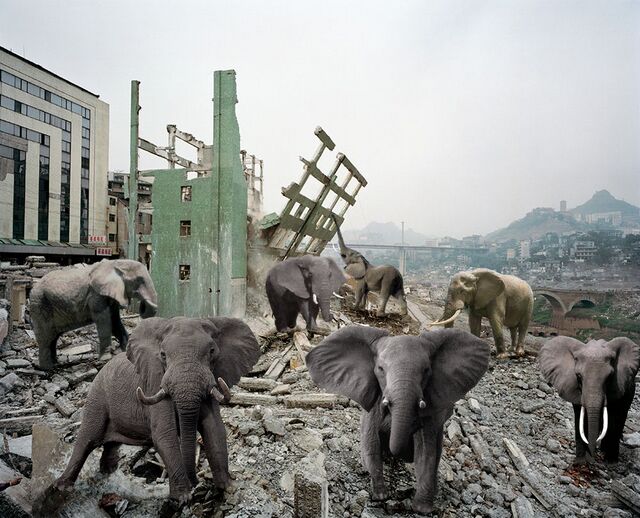The Great Elephant Revolt of 2011 - Uncyclopedia, the content-free ...
