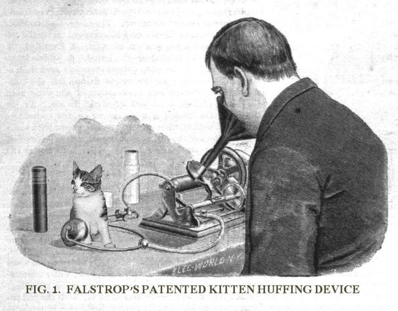 Portal:Portals/Selected Pictures - Uncyclopedia, the content-free ...