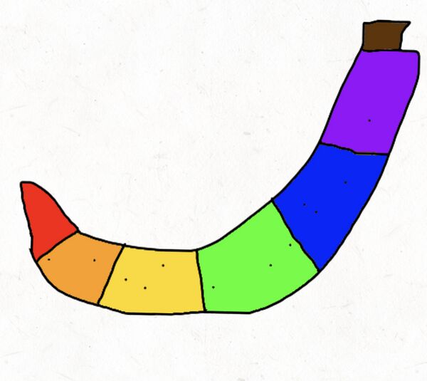 The Holy Banana - Uncyclopedia, the content-free encyclopedia