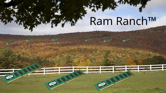 Ram Ranch - Uncyclopedia, the content-free encyclopedia