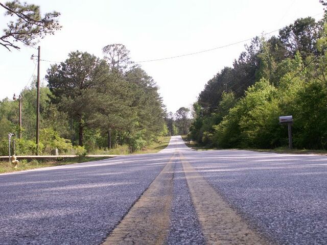 The Road - Uncyclopedia, the content-free encyclopedia