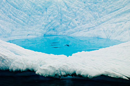 University of Antarctica - Uncyclopedia, the content-free encyclopedia