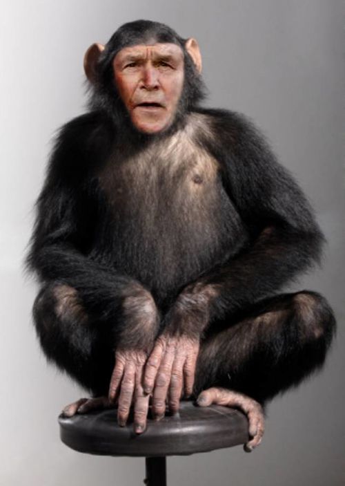 Humans - Uncyclopedia, the content-free encyclopedia